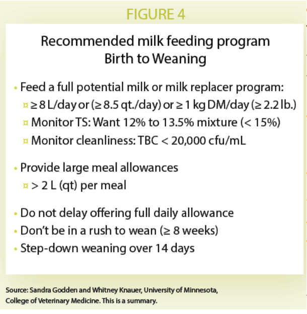 Colostrum Management A Cornerstone For Dairy Calf Health | Bovine Veterinarian